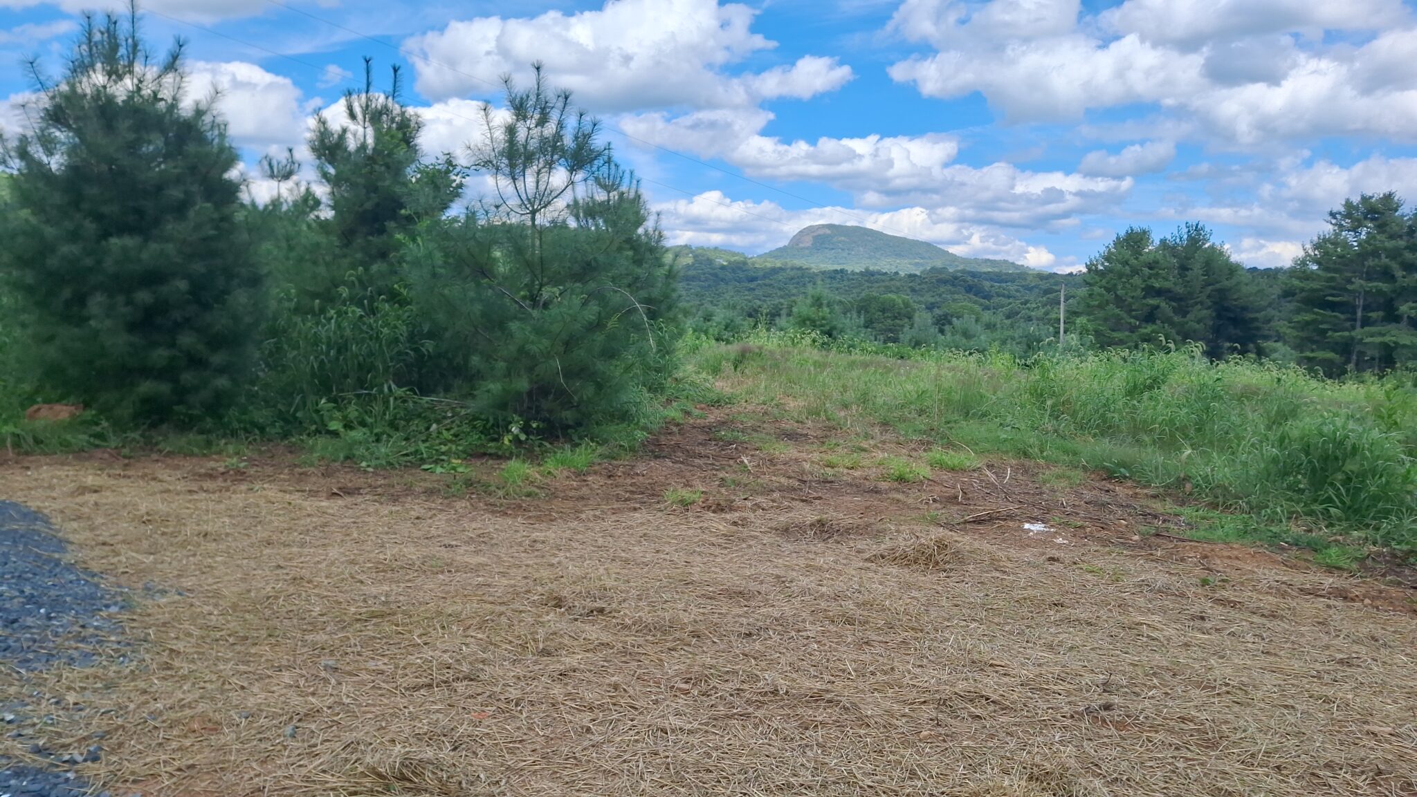 2.63-Acre Homesite With View | Virginia Mountain Land